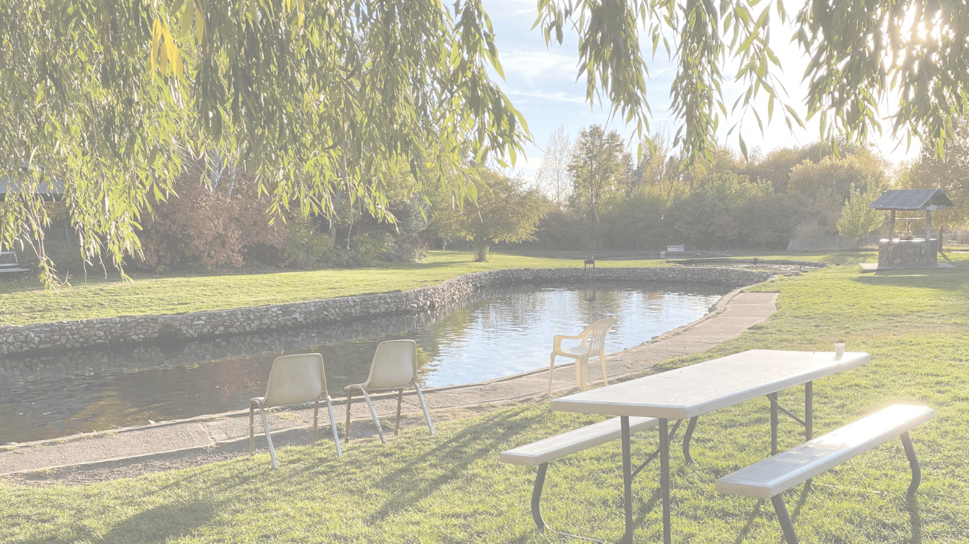 Cold Springs Trout Farm | Fishing, Fish Sales & More Ogden, Utah